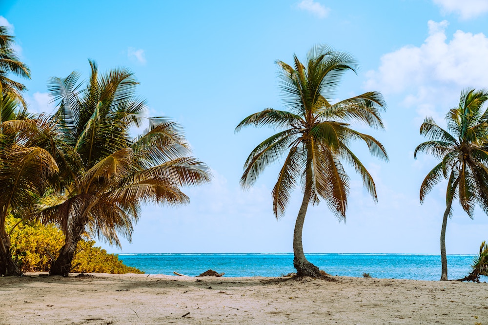 The Manatee Watch and Goff’s Caye | Belize Adventure Tours with ...