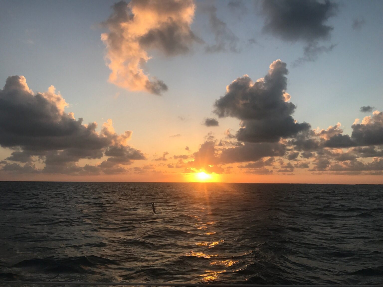 Sunset Dinner Cruise | Belize Adventure Tours with Seaduced by Belize
